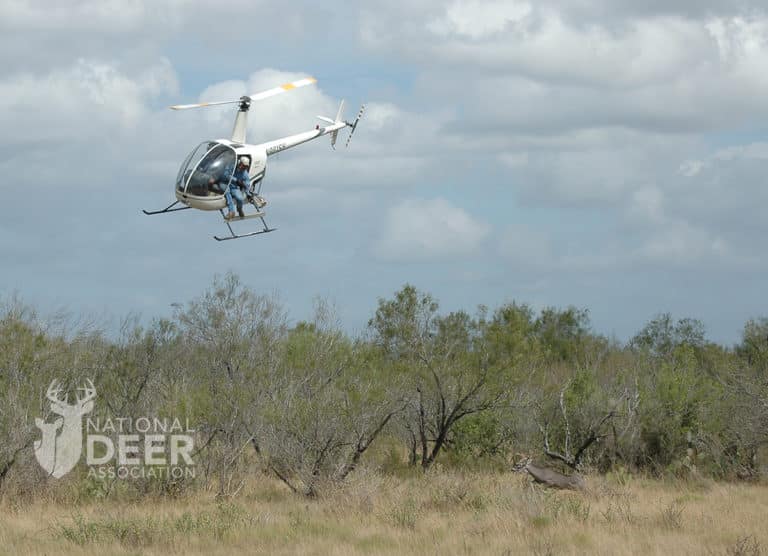 QDM Works. Culling Doesn’t. | National Deer Association