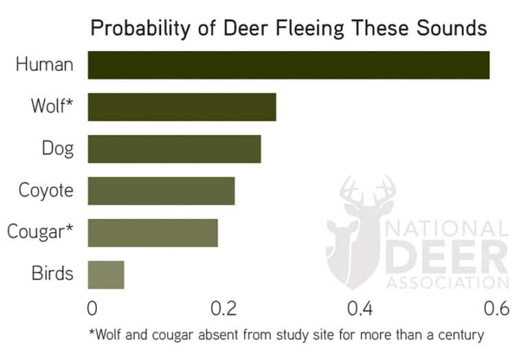 Deer Predators Chart | National Deer Association
