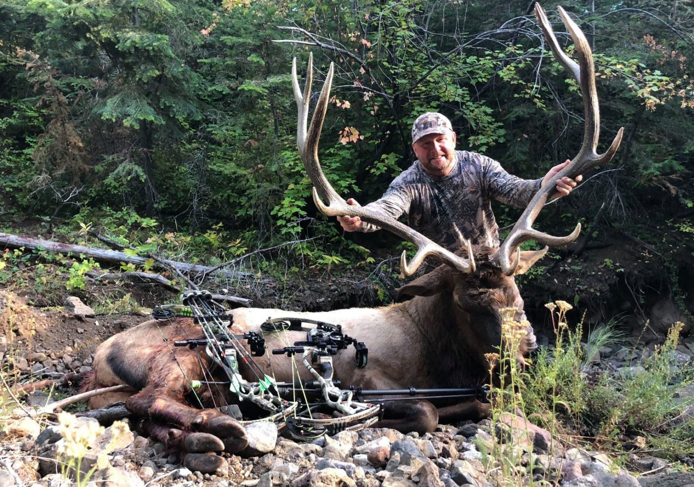 Kentucky Elk 1 | National Deer Association