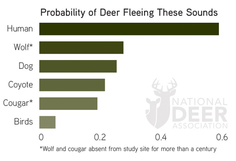 Deer Predators Chart | National Deer Association