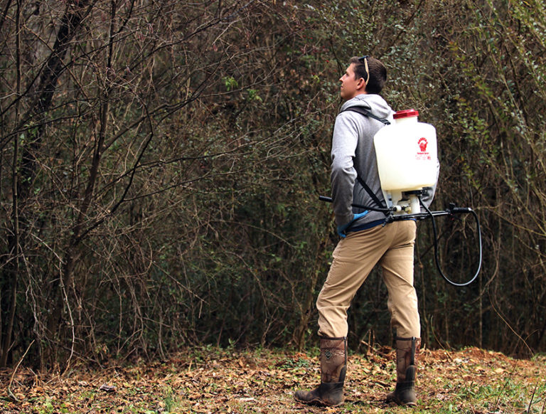 Invasive War Qdma Lead | National Deer Association