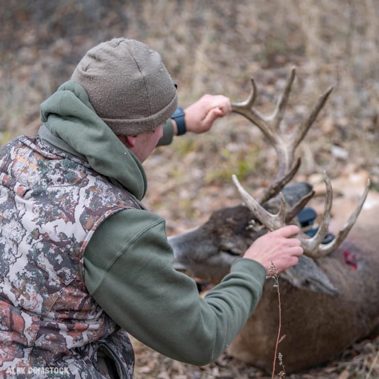 NDA’s Guide to the Whitetail Rut | National Deer Association