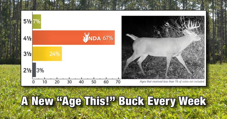 Tips For Using Tree Shelter Tubes | National Deer Association