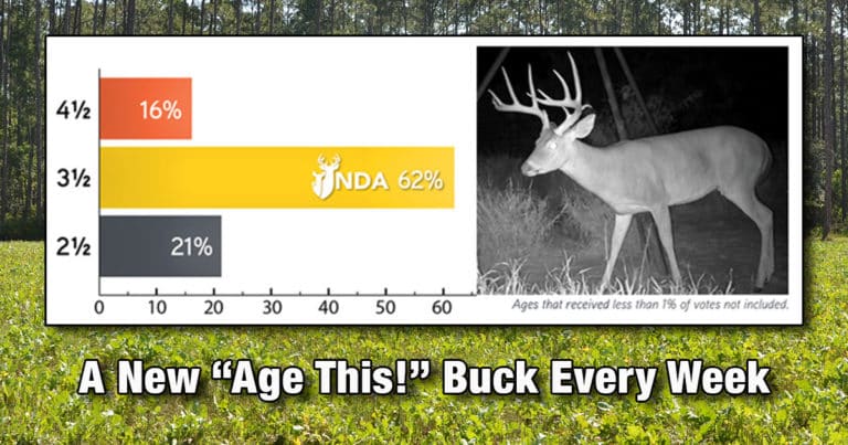 6 Tips for Designing Small Deer Hunting Food Plots 6 Tips for Designing Small Deer Hunting Food Plots