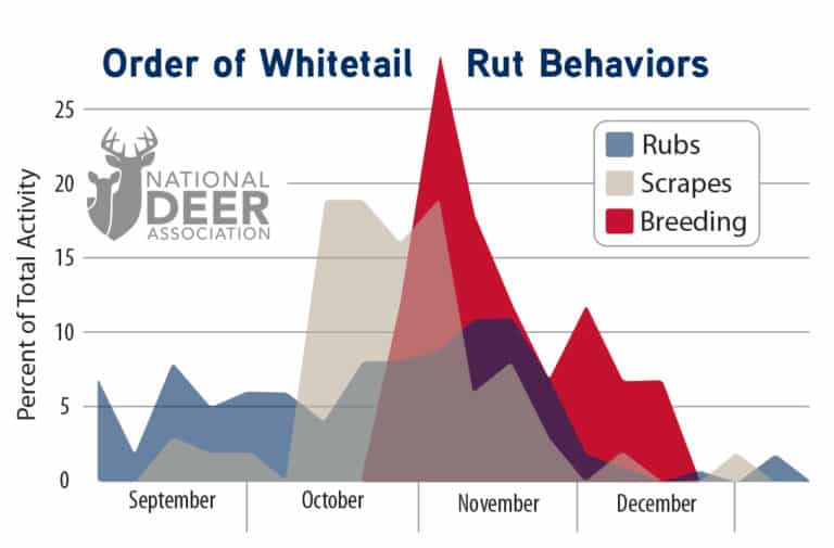 NDA’s Guide to the Whitetail Rut | National Deer Association