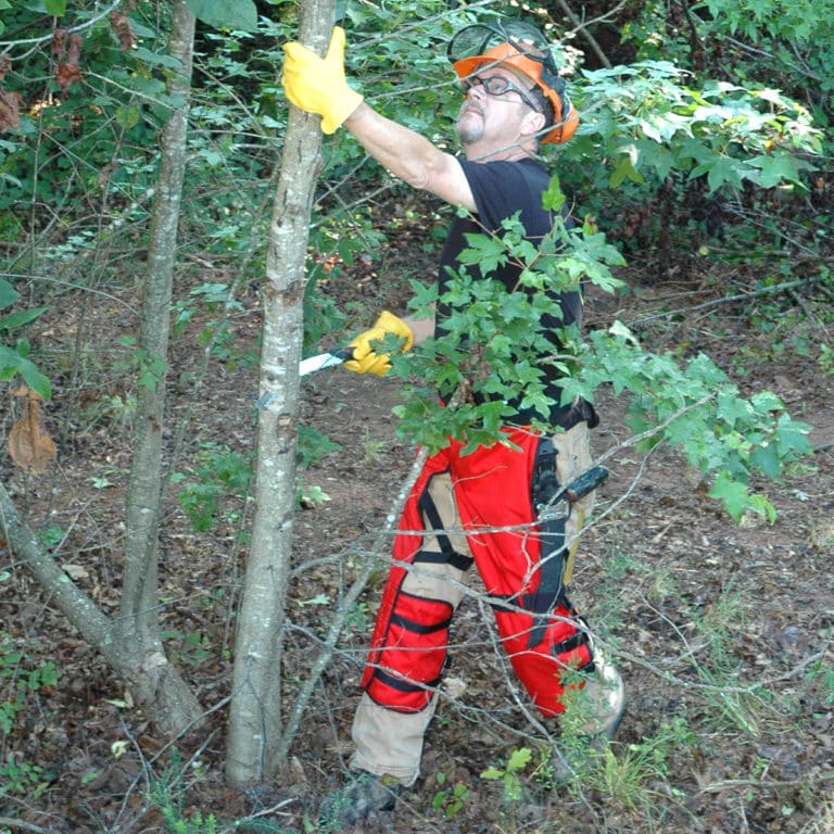 5 Clues You Might Be Hinge-Cutting Too Much