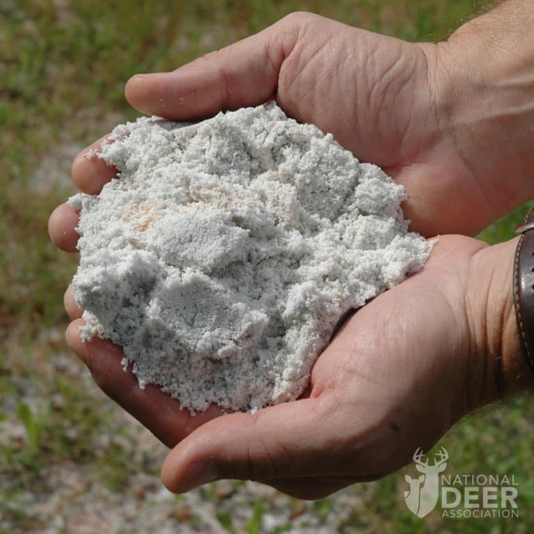 How to Shop for Food Plot Lime to Maximize Deer Nutrition