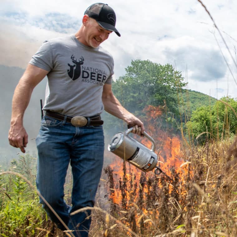 4 Ways Deer Carry Wildlife Conservation on Their Backs