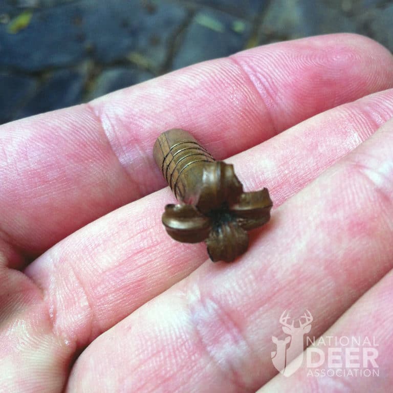 I Use Copper Bullets for Deer Hunting. Here’s What I’ve Learned.