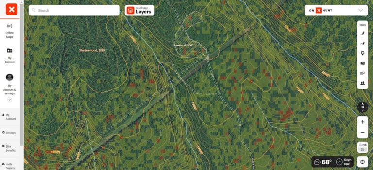 How to Break Down the Big Woods and Find Deer – National Deer Association