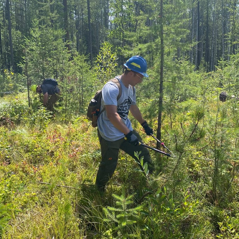50 Volunteers Tackle Idaho Deer Habitat at NDA’s First Working for ...