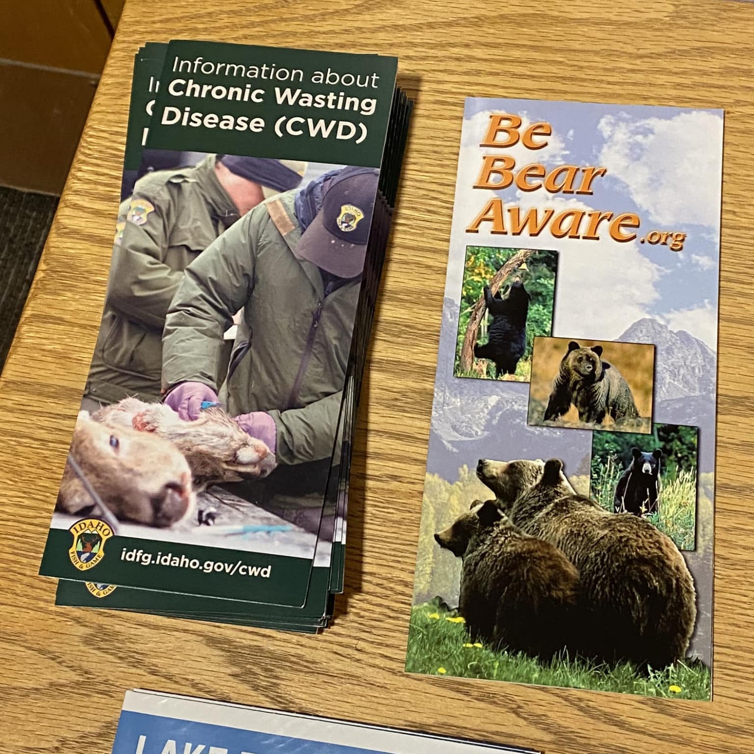 Dos and Don’ts of Deer Carcass Disposal in CWD Country