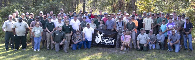 4 Ways Deer Carry Wildlife Conservation on Their Backs