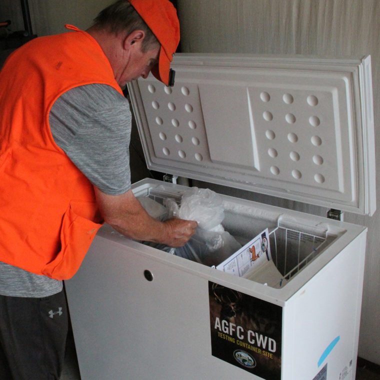 5 Reasons to Get Your Deer Tested for CWD