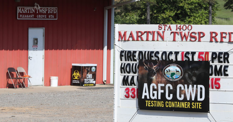 5 Reasons to Get Your Deer Tested for CWD