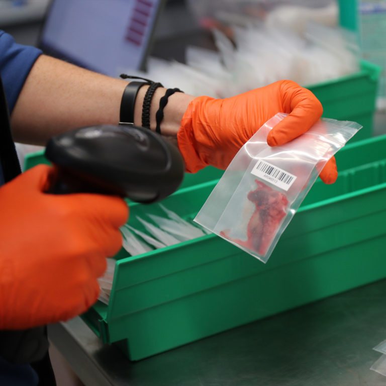 5 Reasons to Get Your Deer Tested for CWD