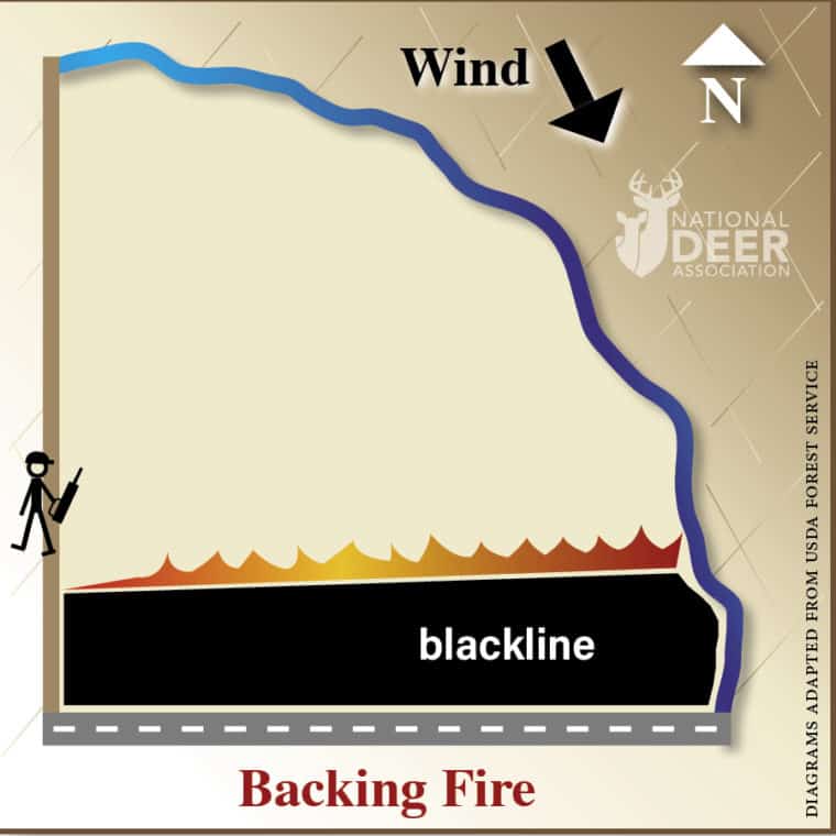 4 Ways to Light a Prescribed Fire | National Deer Association