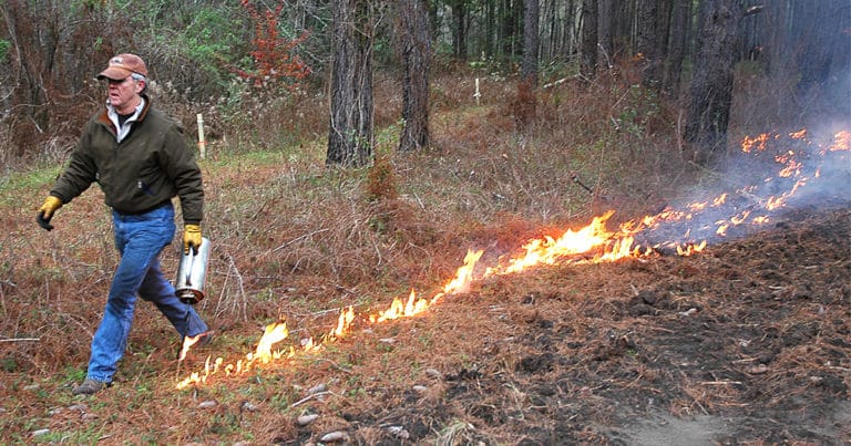 4 Ways to Light a Prescribed Fire | National Deer Association