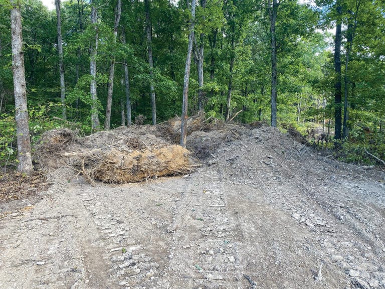 6 Tips for Designing Small Deer Hunting Food Plots 6 Tips for Designing Small Deer Hunting Food Plots