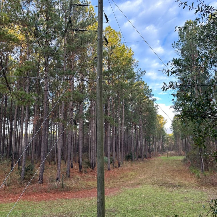 Prescribed Fire Near Power Lines Could Zap Your Wallet