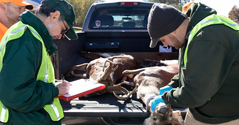 Missouri Shows Us How to Manage CWD in Deer for the Long Haul