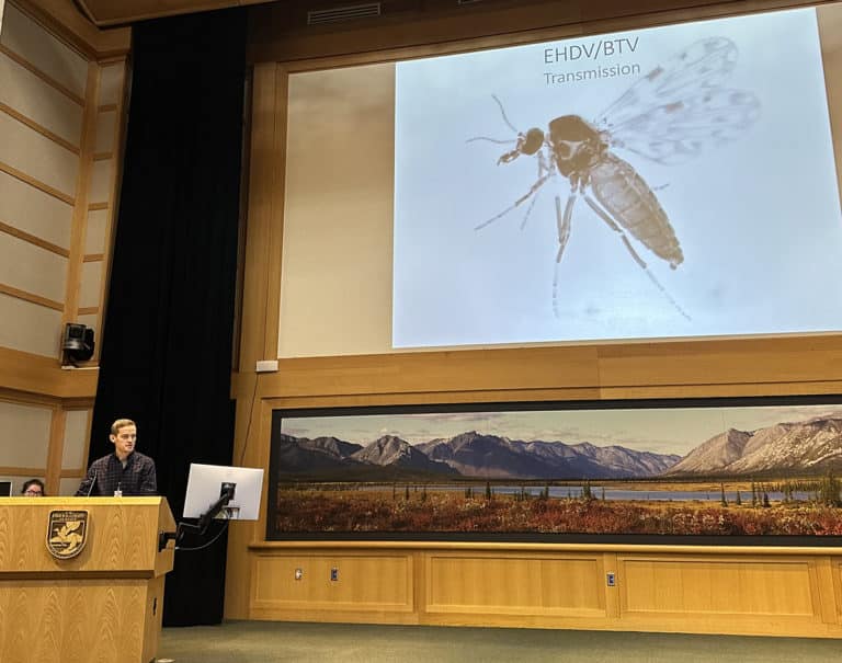 These Warning Signs Could Predict EHD Outbreaks in Deer