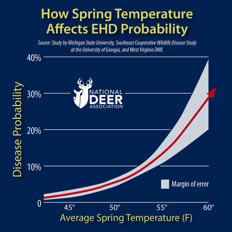 These Warning Signs Could Predict EHD Outbreaks in Deer