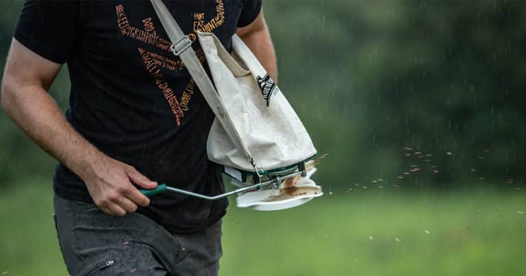 A Beginner’s Guide to Deer Food Plots