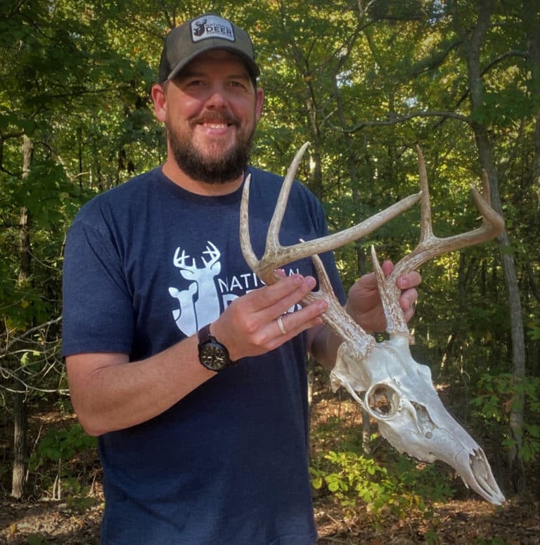 How to Clean a Deer Skull for a European Mount