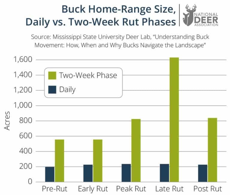 6 Facts You Need to Know About Buck Home Ranges, and 1 You Don't