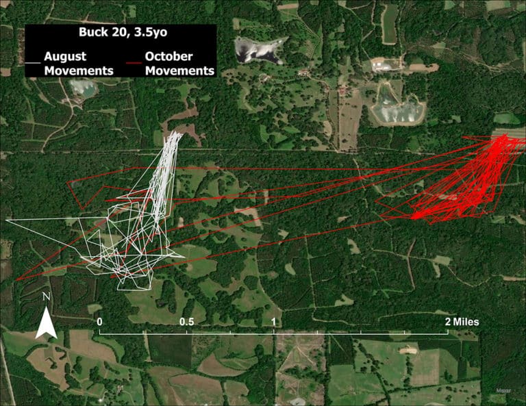 6 Facts You Need to Know About Buck Home Ranges, and 1 You Don't