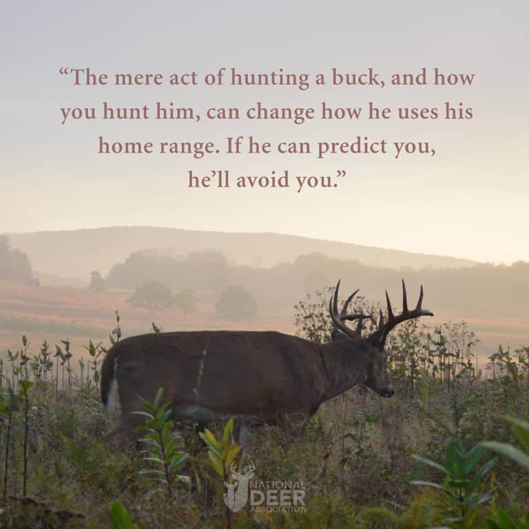 6 Facts You Need to Know About Buck Home Ranges, and 1 You Don't