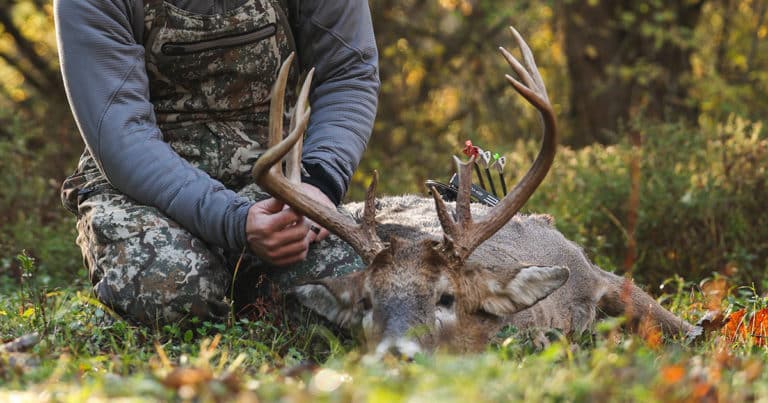 How to Keep CWD Away From the Deer You Hunt