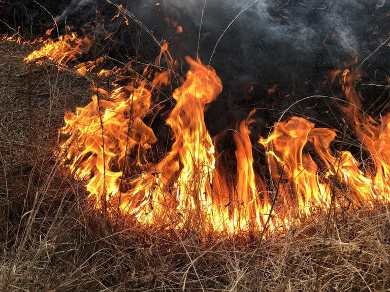A Guide to the Most Important Weather Factors in Prescribed Fire ...