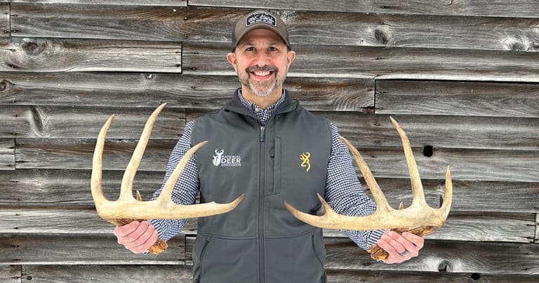 How Far Apart Do Bucks Drop Their Shed Antlers?