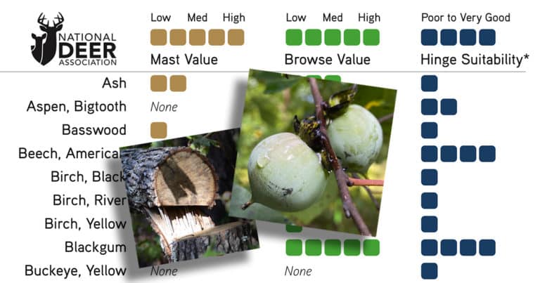Hinge, Girdle, Fell or Leave? A Guide to 50 Tree Species in Deer ...
