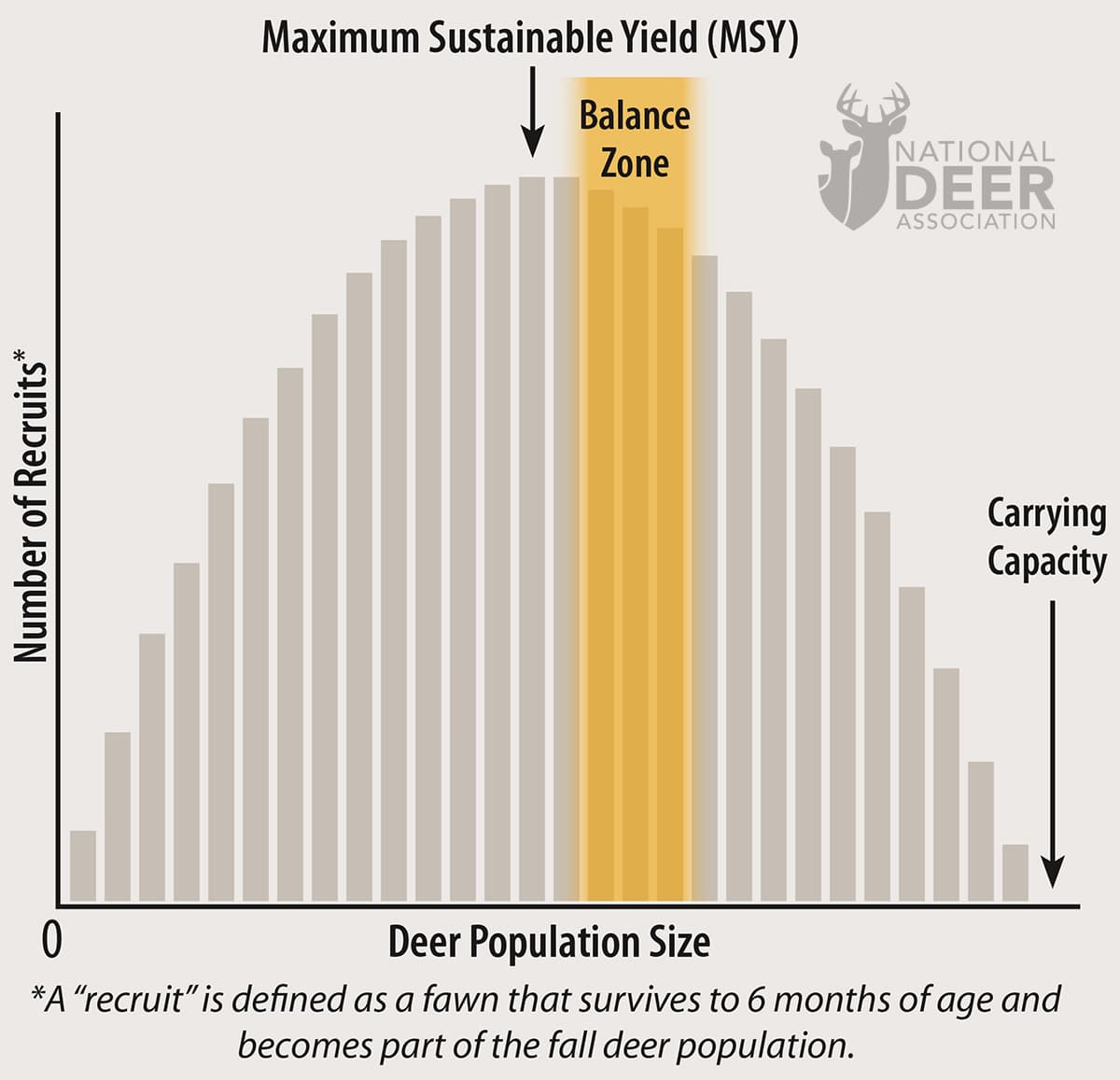 The Benefits of Balancing Deer With Their Habitat