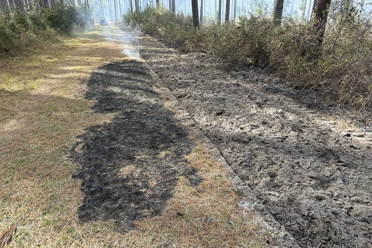 Firebreaks First: How to Plan a Safe Prescribed Burn on Your Property