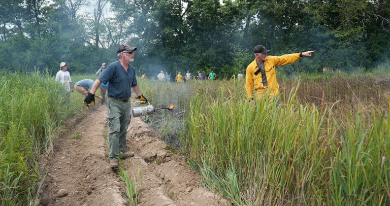 Firebreaks First: How to Plan a Safe Prescribed Burn on Your Property
