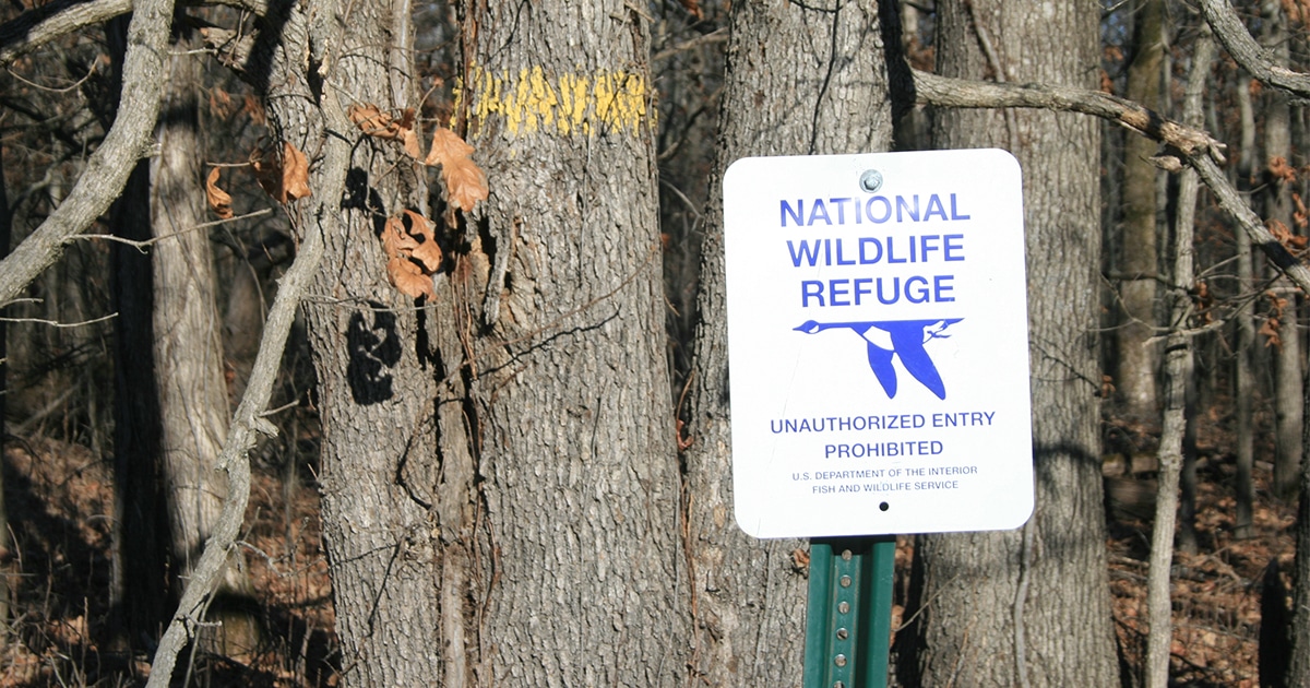 National Deer Association Applauds Order Expanding Hunting and Fishing ...