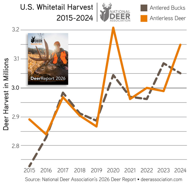 Deer Report: Doe Harvest Jumps, Mature Buck Harvest Sets Another Record